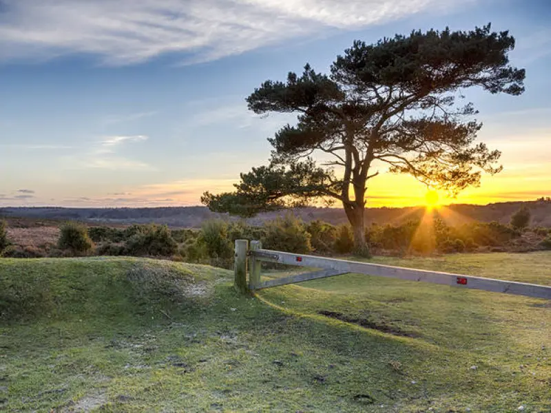 Devon&Cornwall in Vogelvlucht boek je eenvoudig bij Internoord vakanties